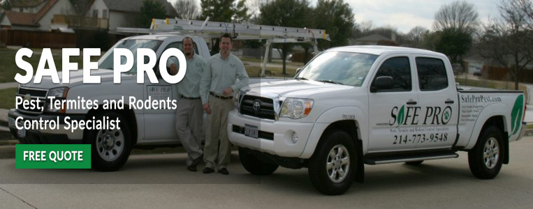 Free Quote and Services | Safe Pro Pest Control Frisco TX