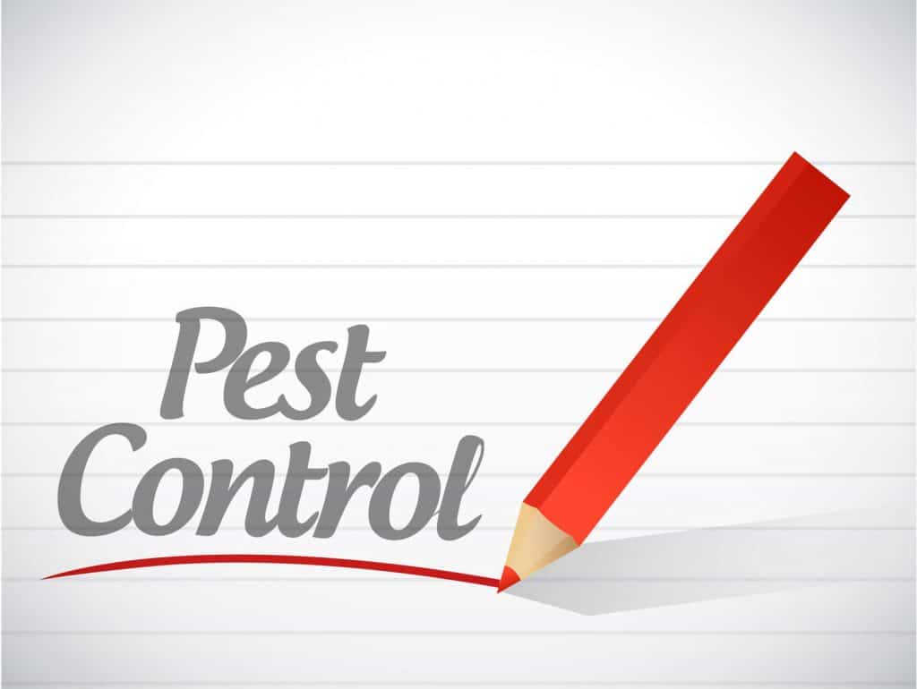 4 Pest Control Measures for Small Businesses | Frisco TX